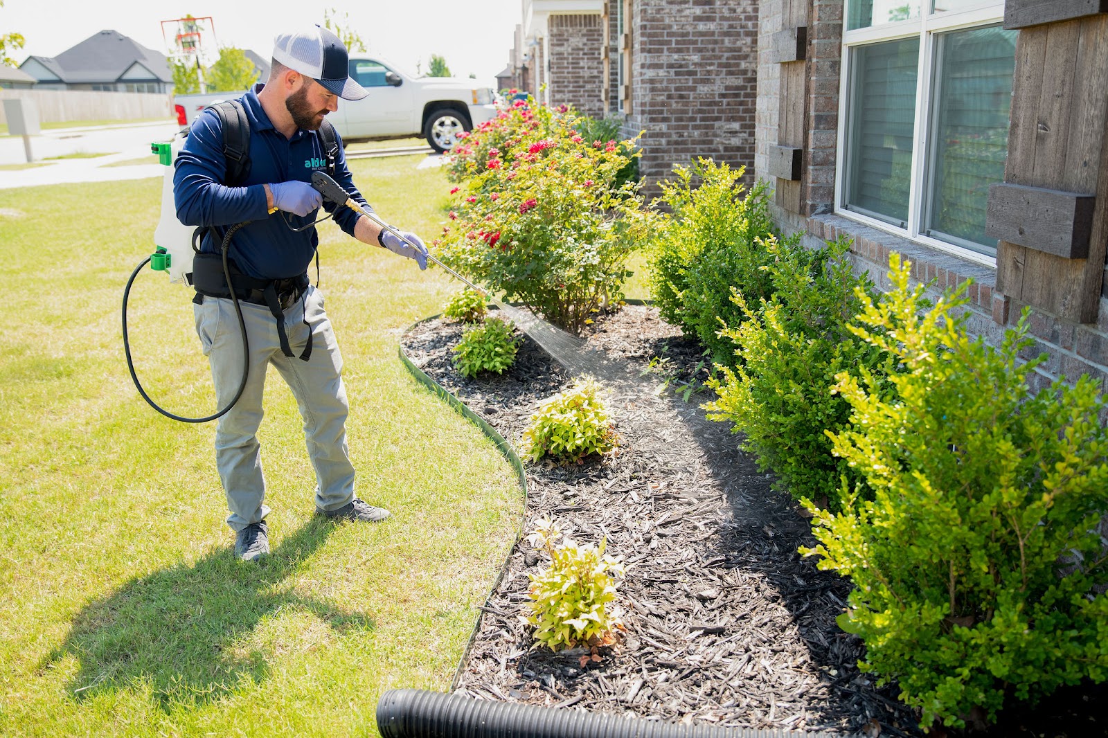 What Is The Difference Between Pest Control And An Exterminator ...