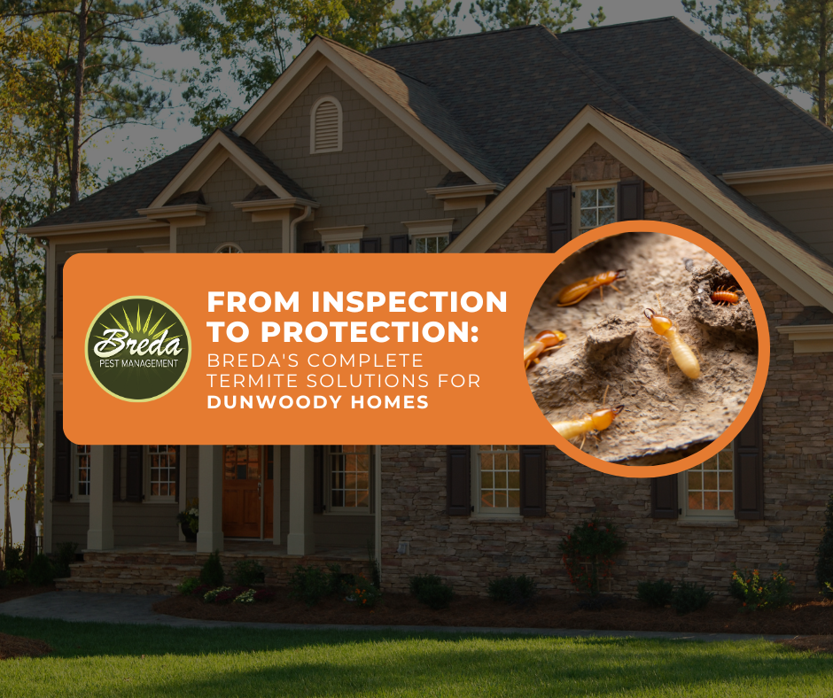 From Inspection to Protection: Termite Solutions In Dunwoody | Breda ...