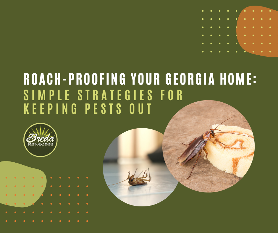 Simple Strategies for Keeping Roaches Out of Your Home | Breda Pest ...