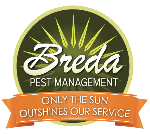 How Do Mothballs Work? | Breda Pest Management
