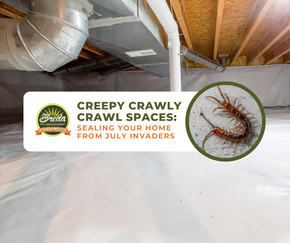 Seal Your Roswell Home Against July's Creepy Crawly Invaders | Breda ...
