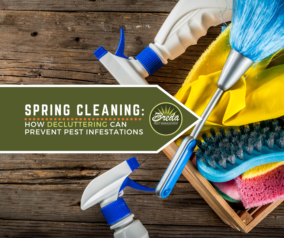 Spring Cleaning Tips to Prevent Pest Infestations | Breda Pest Management
