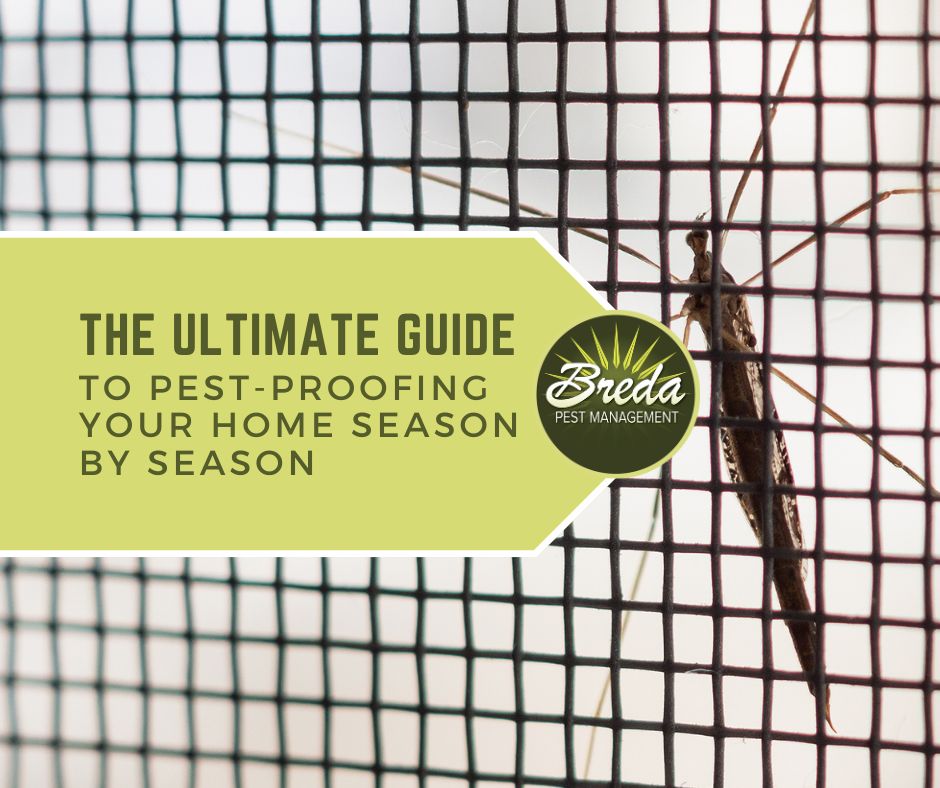 Ultimate Guide to Pest-Proofing Your Home Season by Season | Breda Pest ...