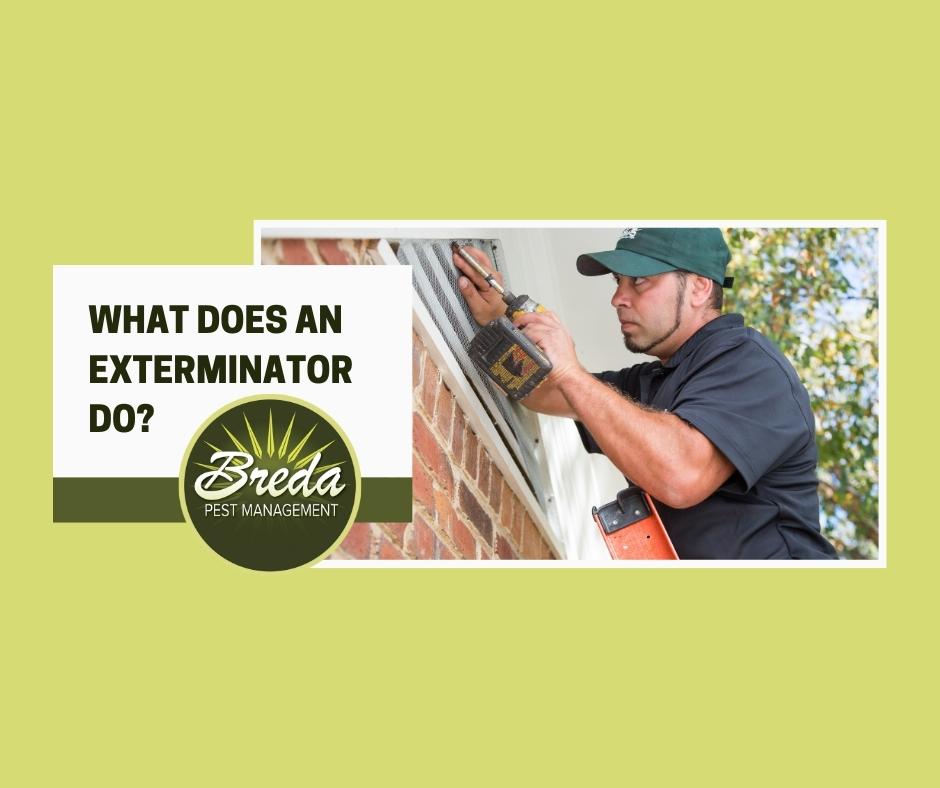 What does an exterminator do? | Breda Pest Management
