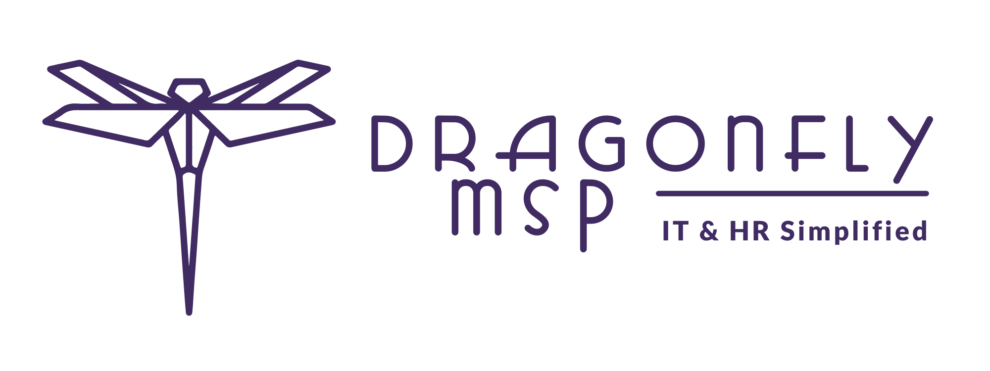 Free Network Assessment | Dragonfly MSP