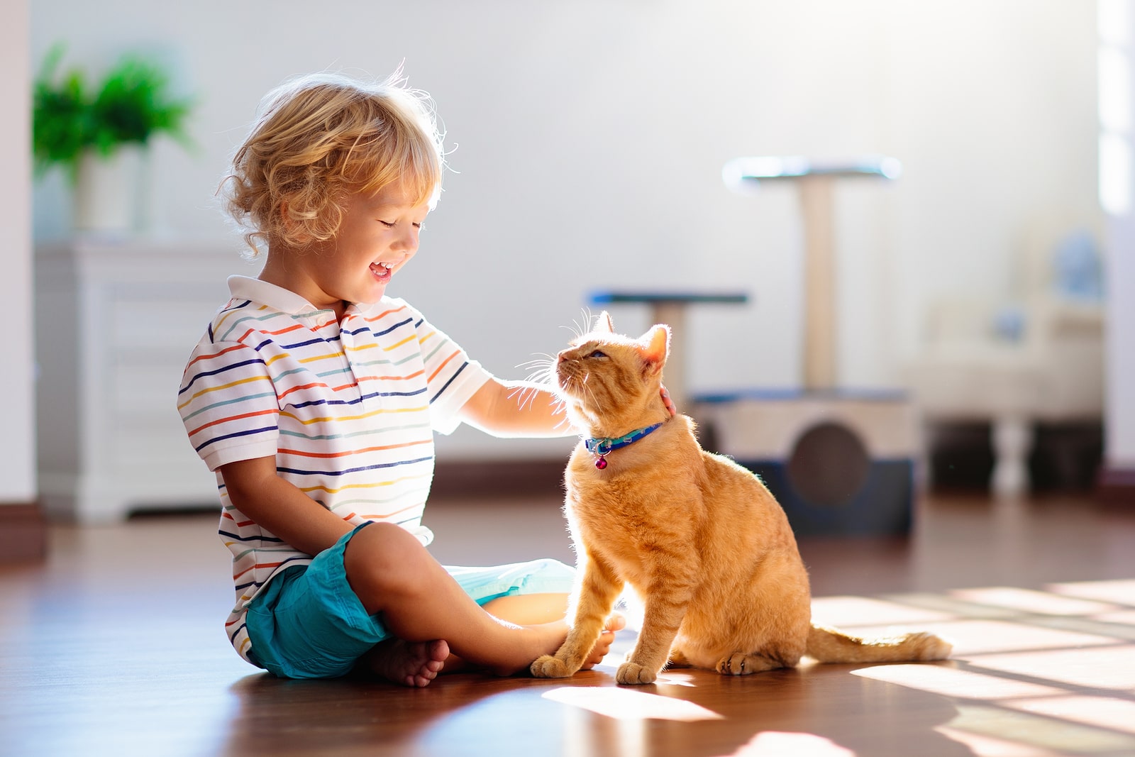 Heavy Petting Tips Telegraph