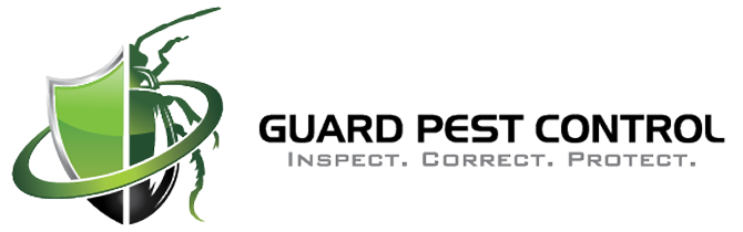 Winter Home Pest Inspection Checklist for Washington Homeowners | Guard ...