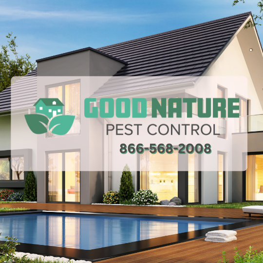 Pest Control in Canton | PestNation