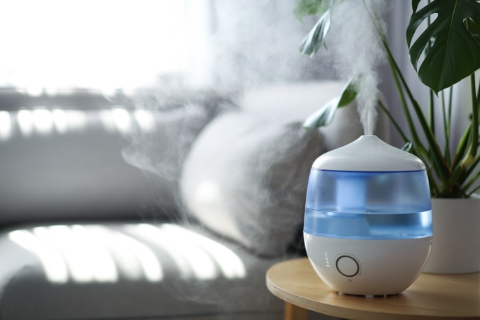 How to Increase Humidity in Your Home | PV Heating & Air