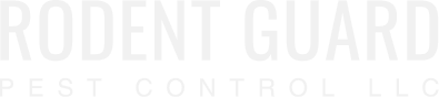 Expert Rodent Control Seattle | Rodent Guard