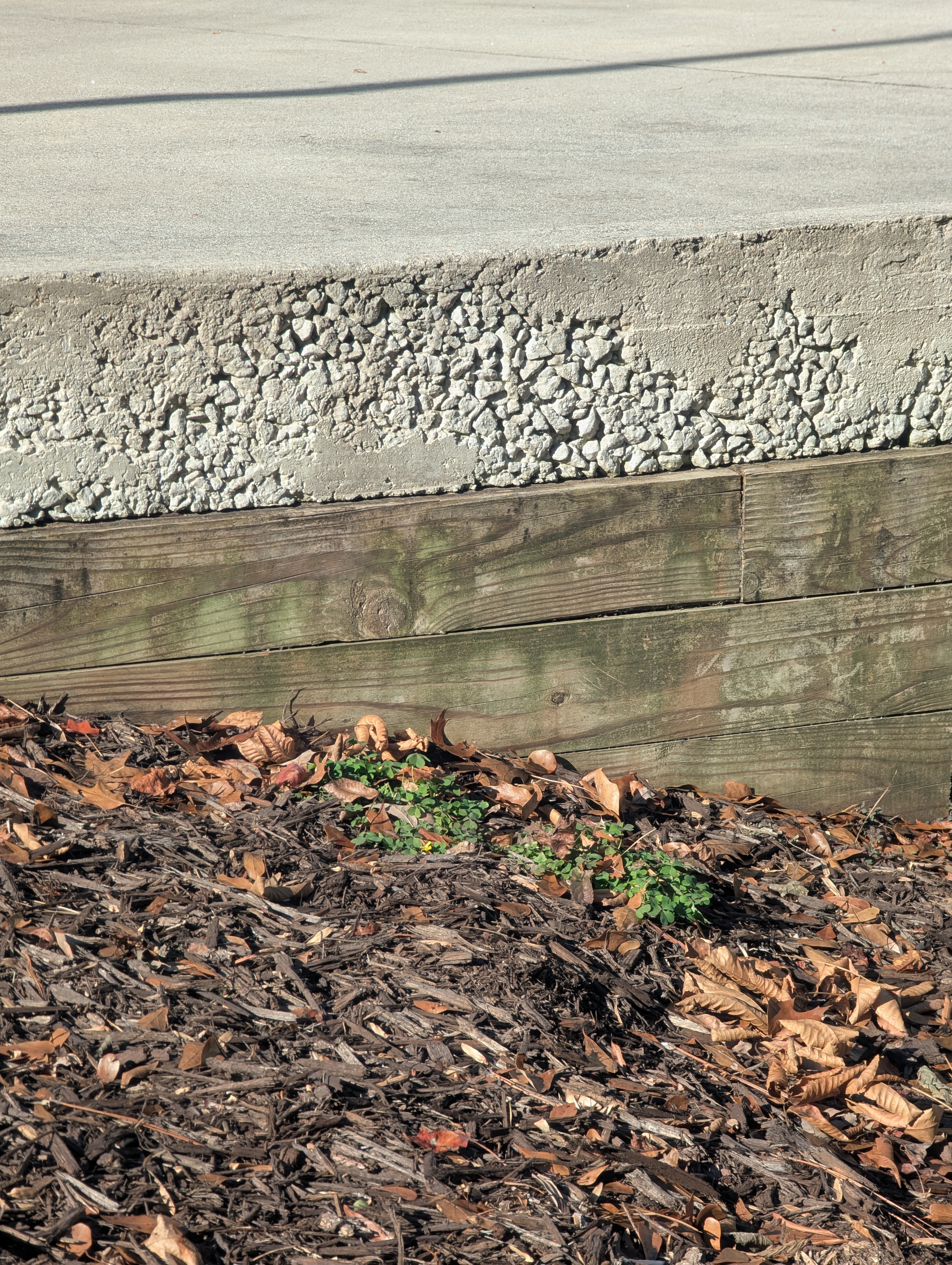 What Is Honeycomb Concrete? | Sudlow Concrete