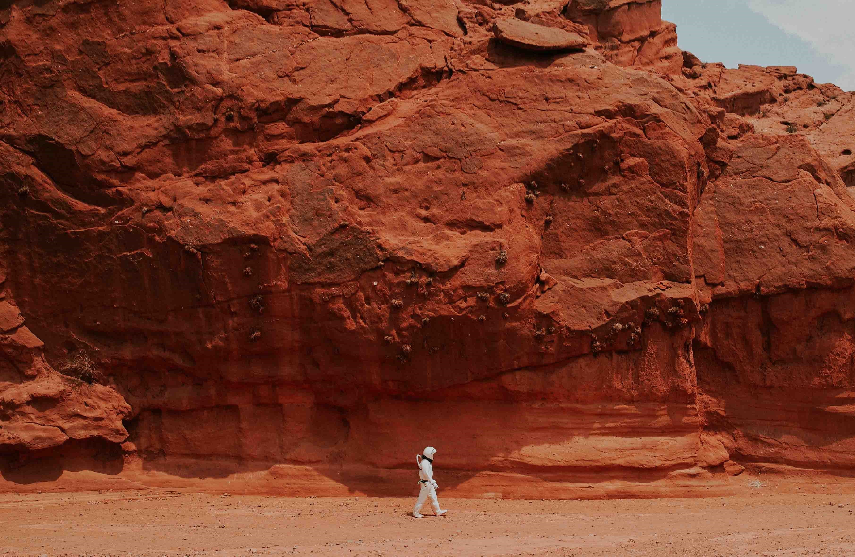 Future Cowboys’ Life on Mars Album is Out of This World | Where Y'at ...