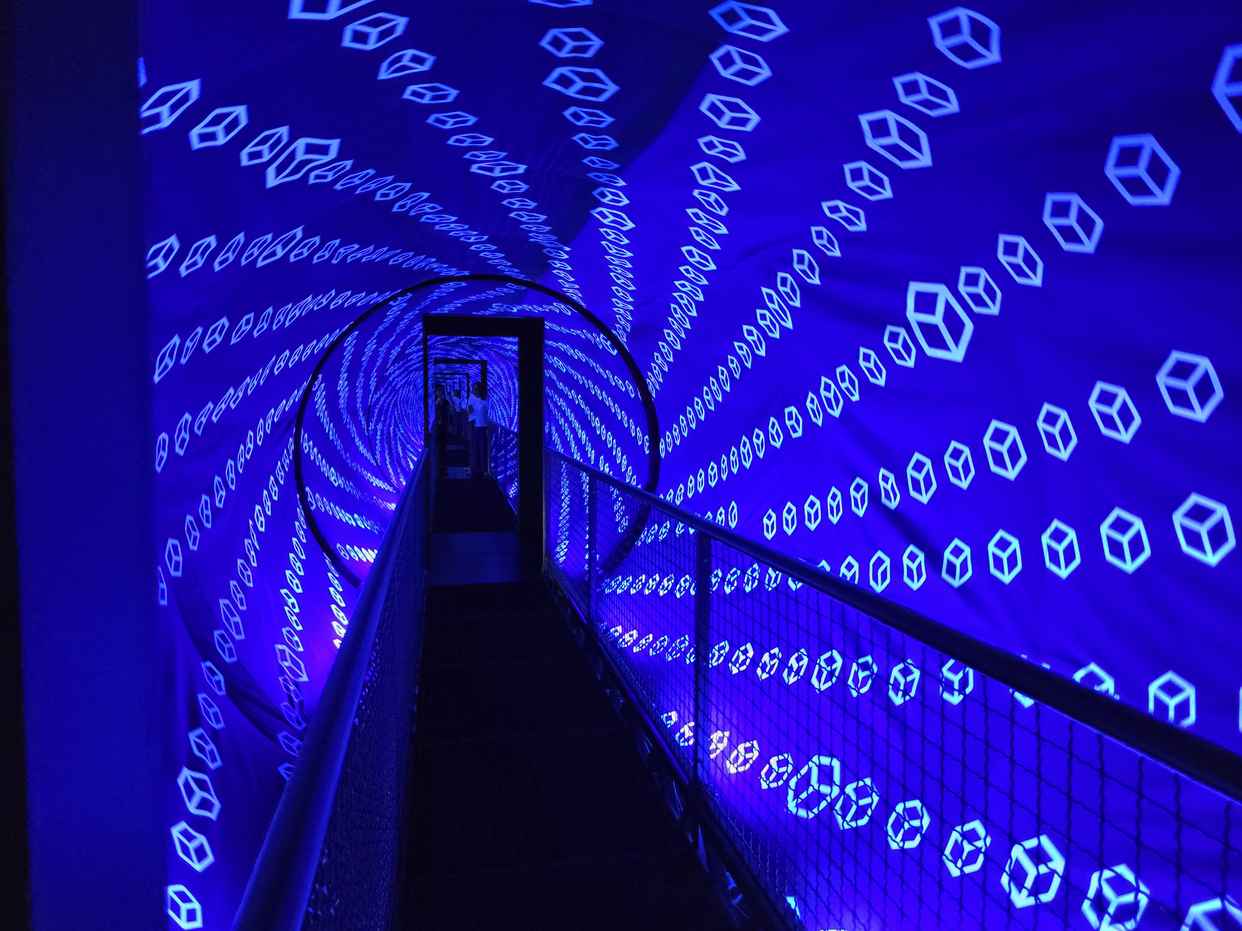 Experience Wonder at Museum of Illusions | Where Y'at New Orleans