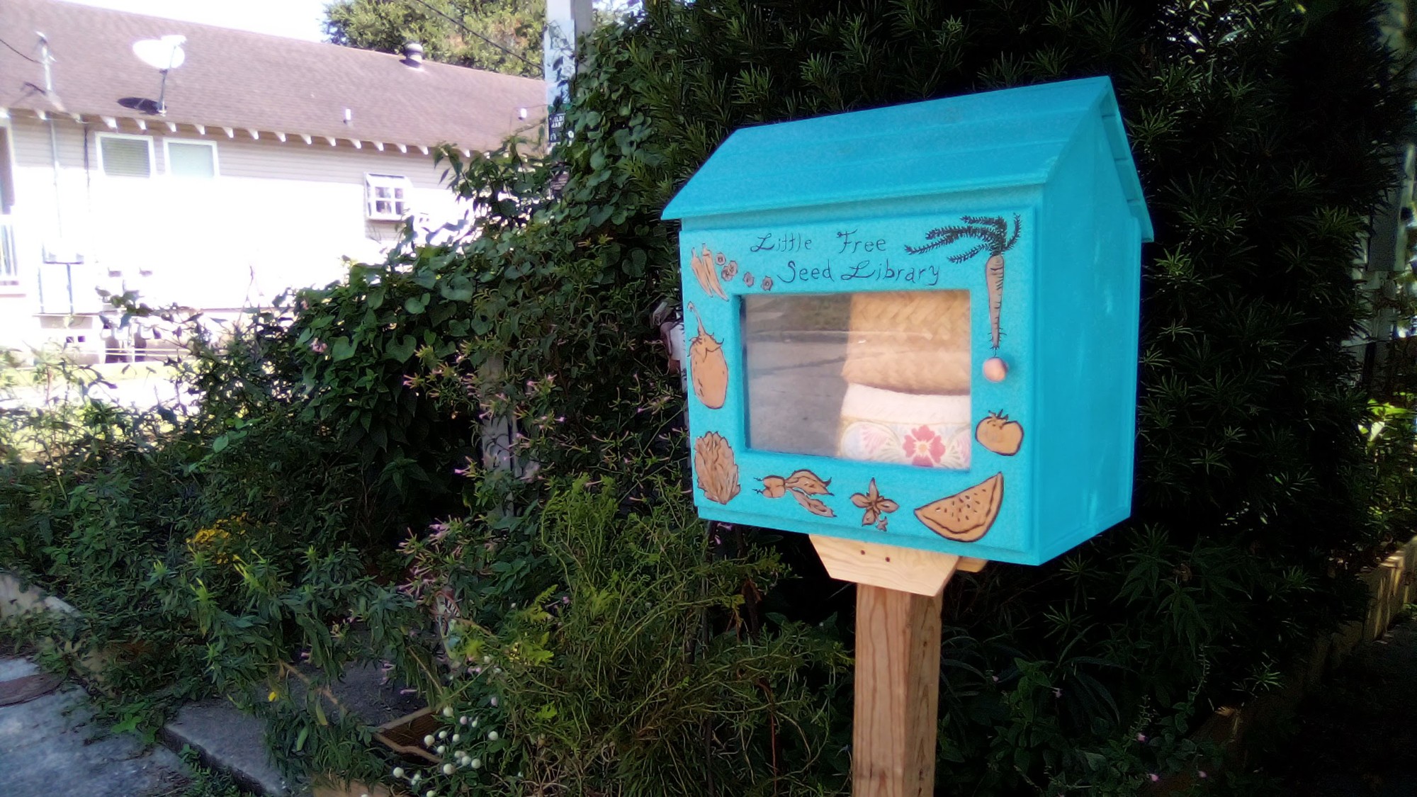 Anna Timmerman’s Planting Guide & the Ninth Ward Seed Library | Where Y ...