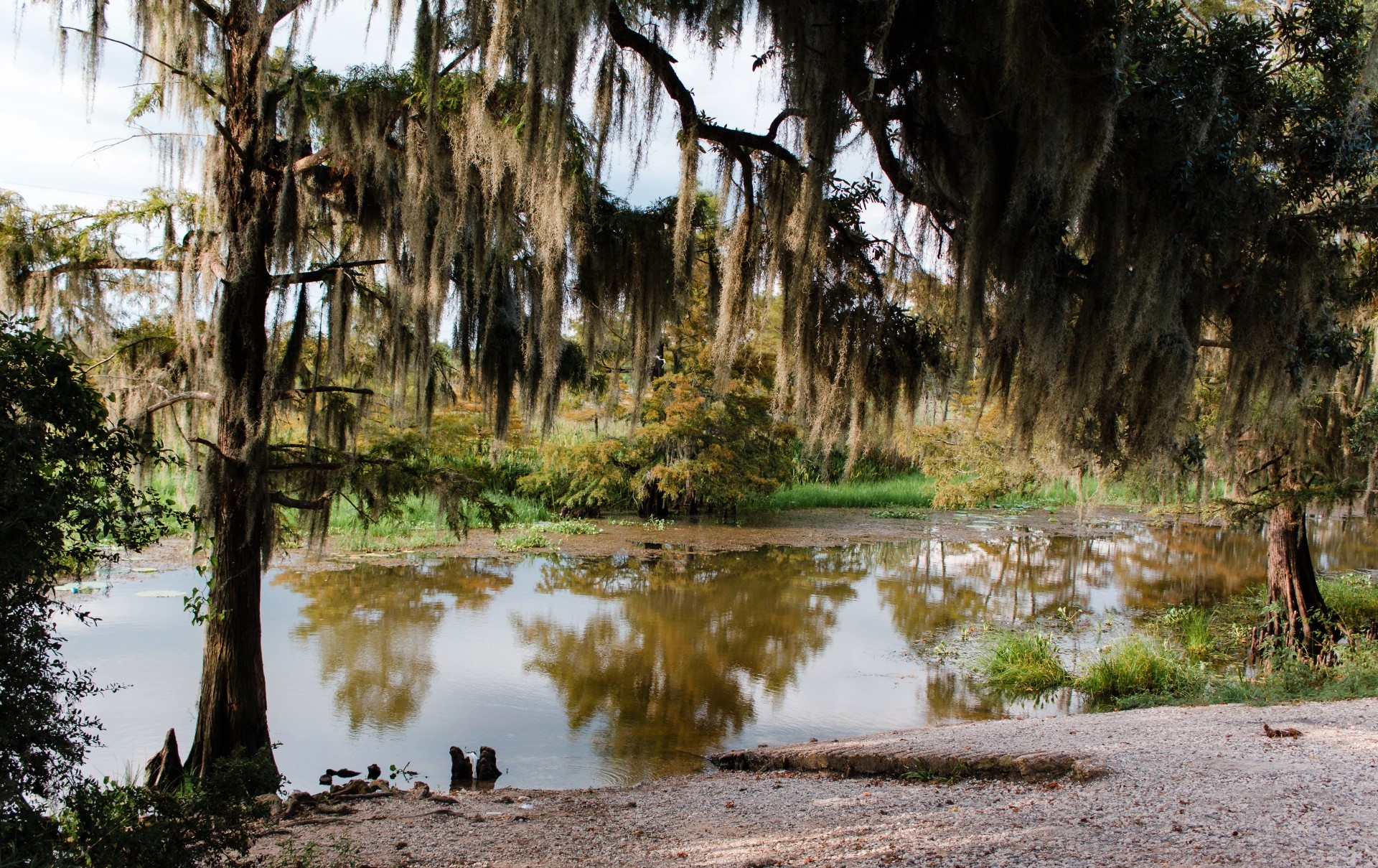Top Five Winter Weekend Trips in Louisiana | Where Y'at New Orleans
