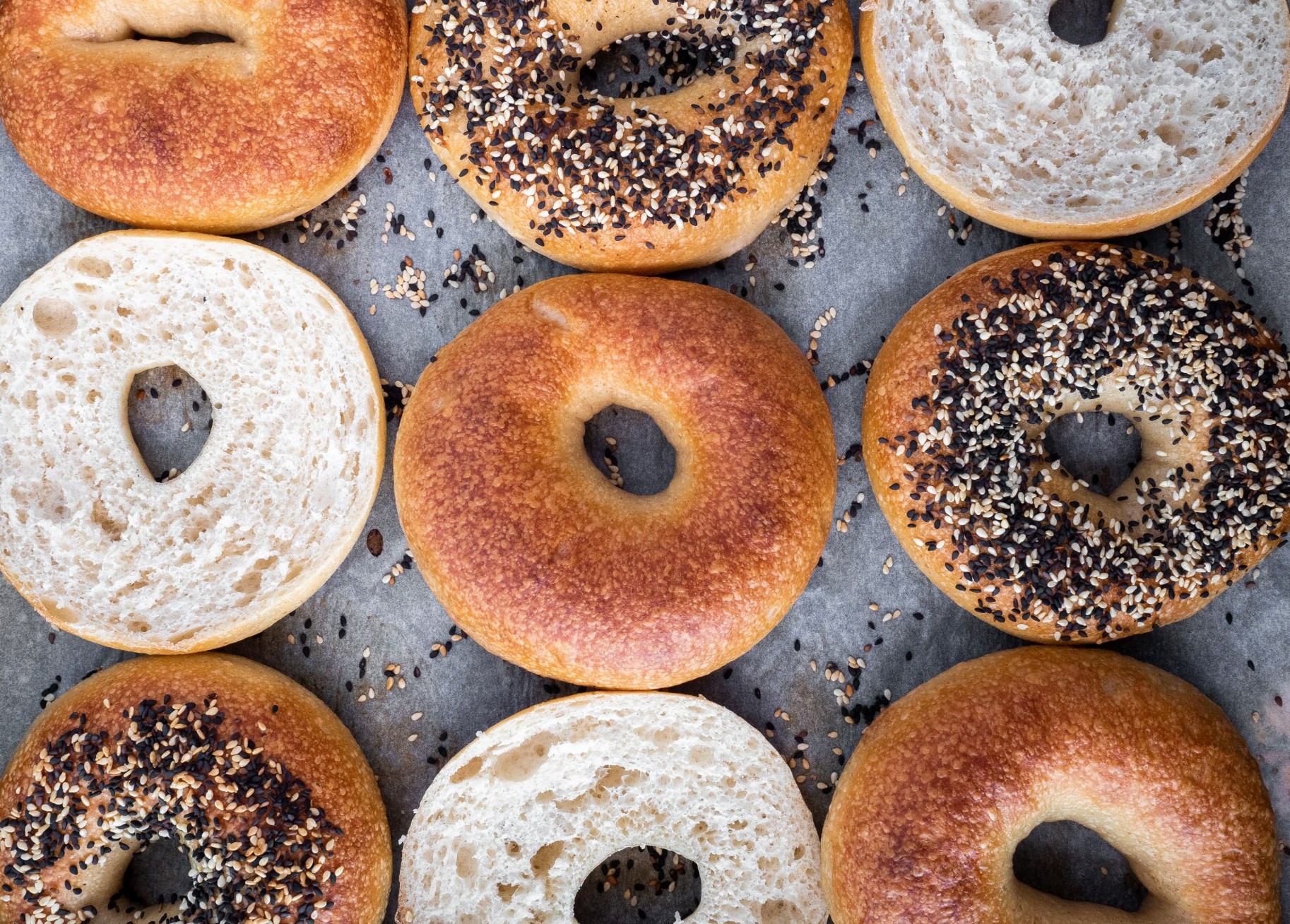 NOLA Ranked 11th Best City for Bagel Lovers | Where Y'at New Orleans