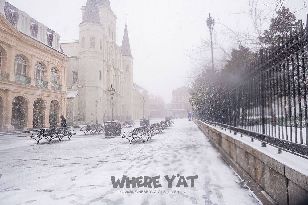 Winter storm in NOLA | Where Y'at New Orleans