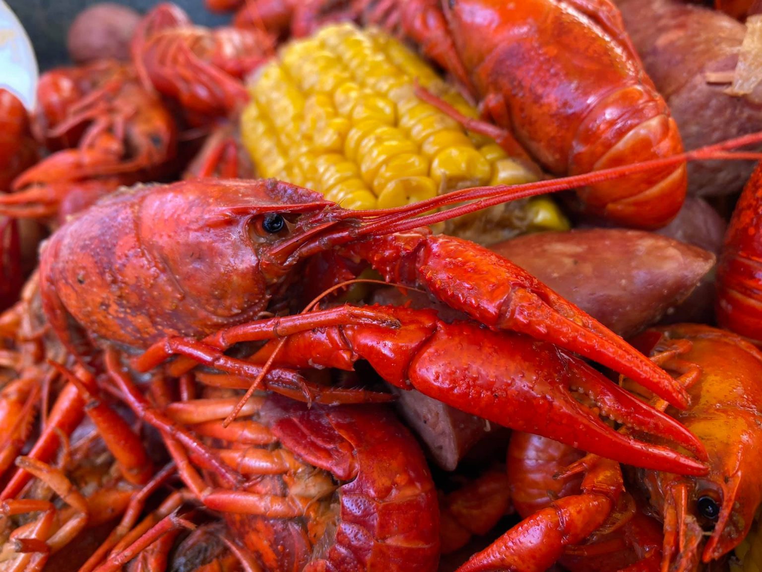 Where to Get Crawfish for Easter Weekend | Where Y'at New Orleans