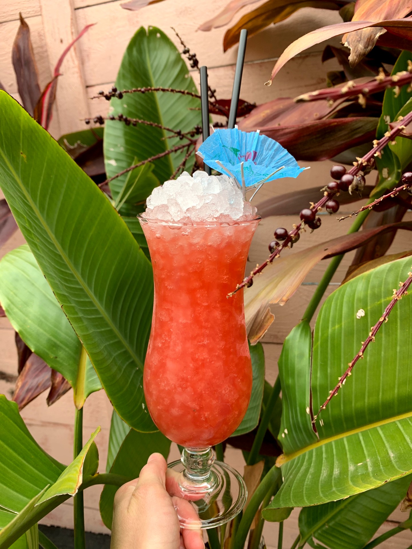 Keep the Mardi Gras Spirit Alive with this Spiced Hurricane Recipe ...