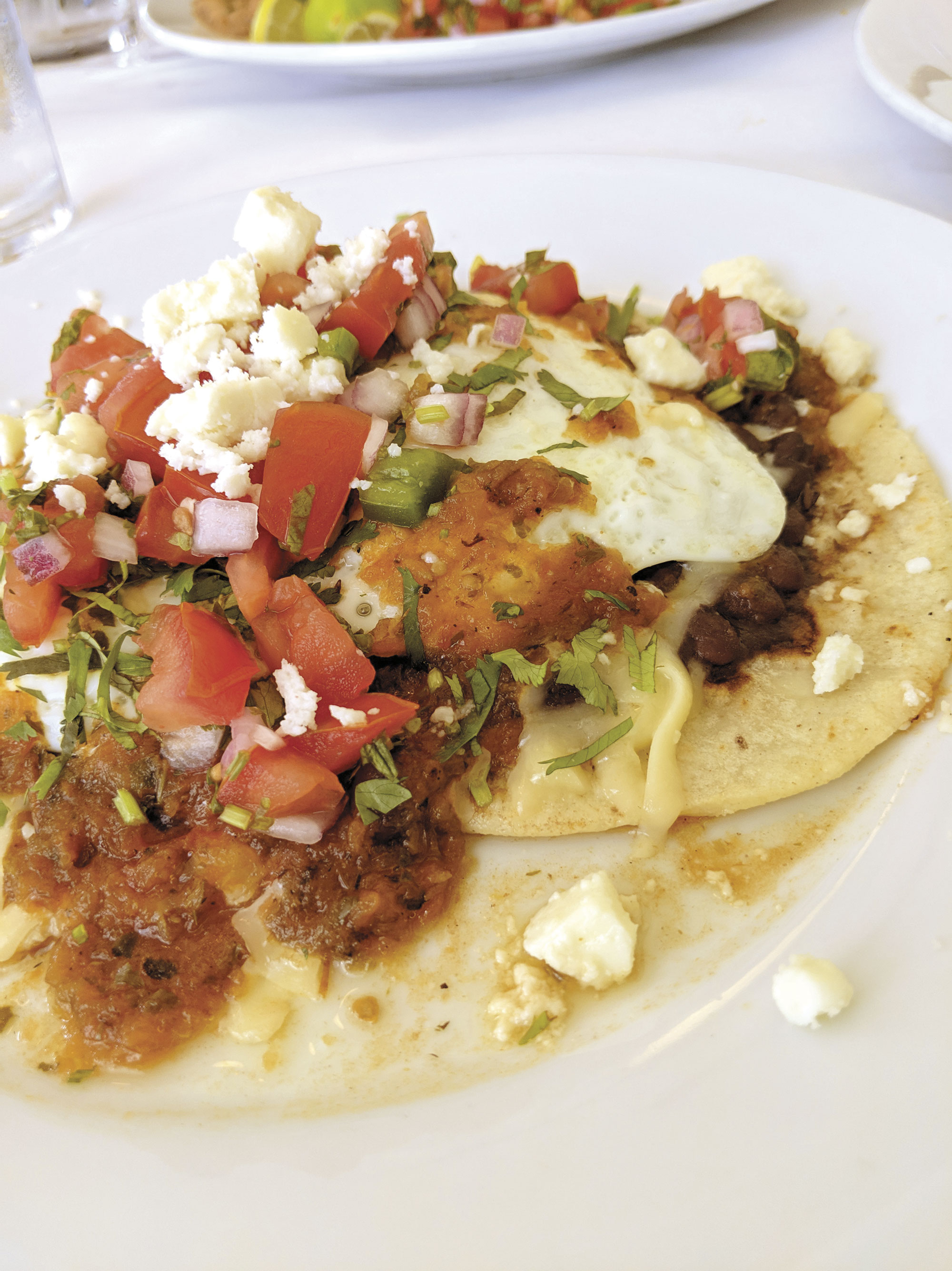 $20 and Under: Taco the Town | Where Y'at New Orleans