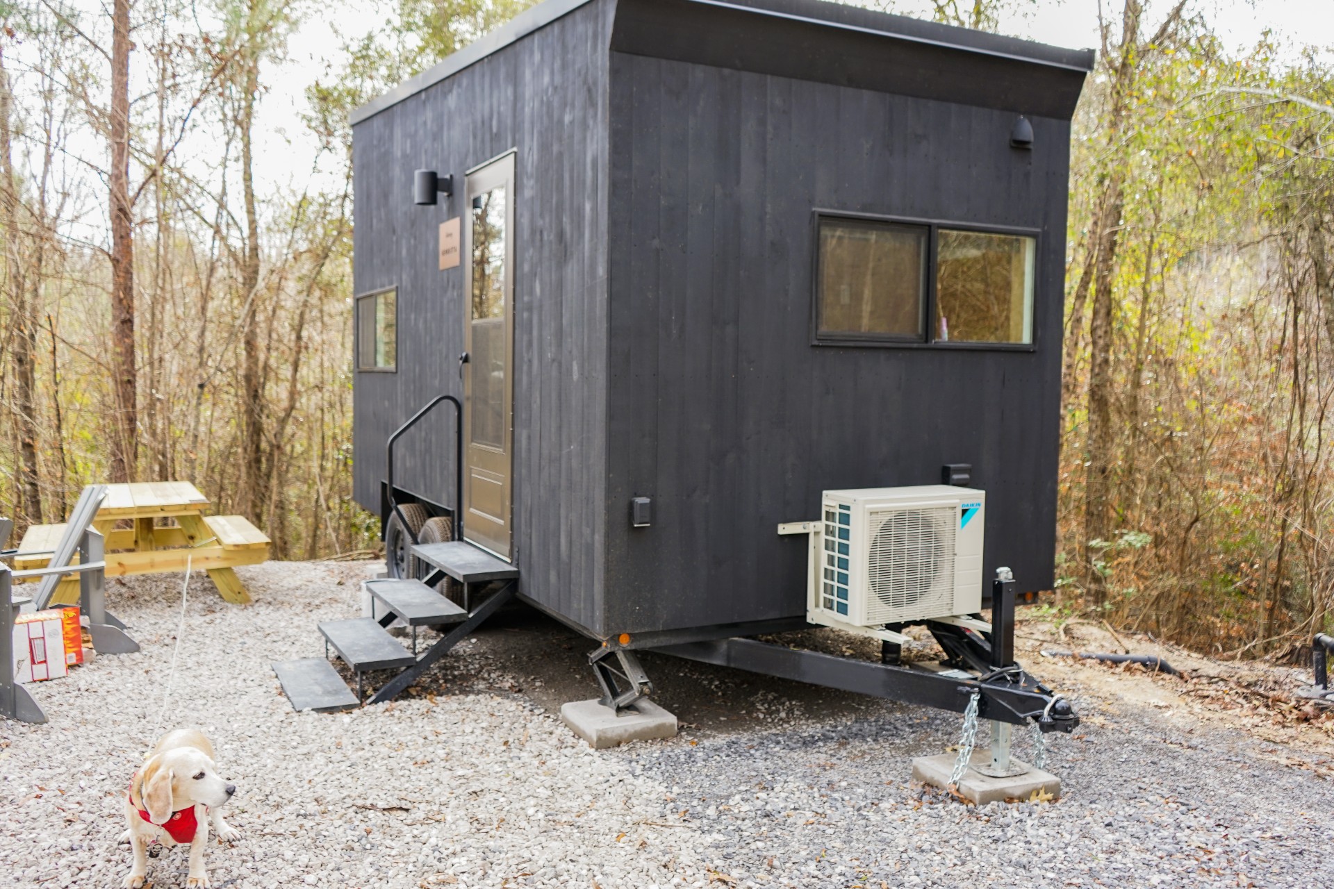 Getaway Homochitto Is Open For All Campers | Where Y'at New Orleans